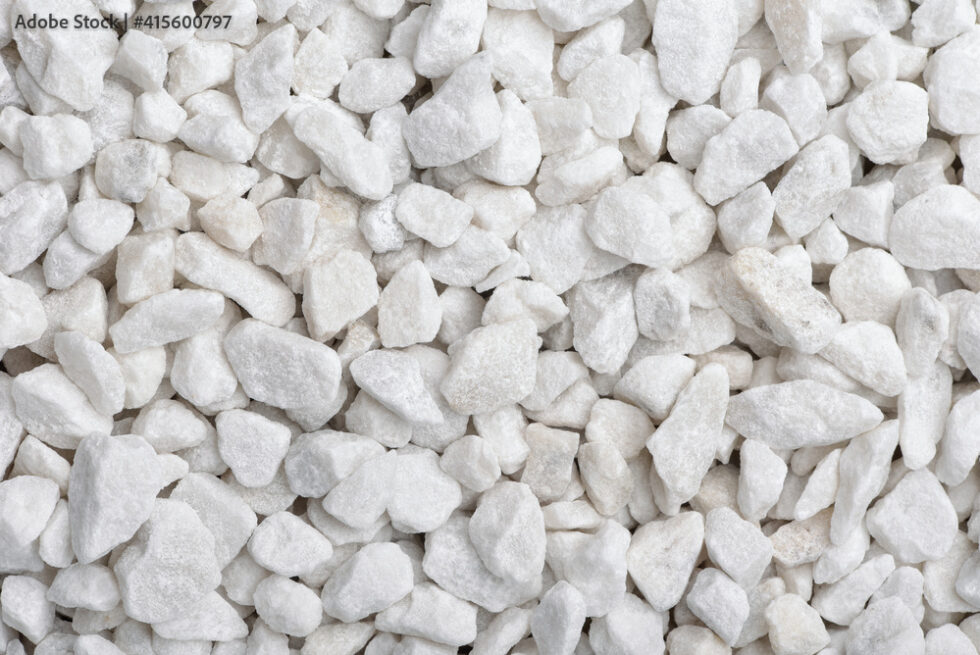 Algae-grown Limestone | Minus Materials